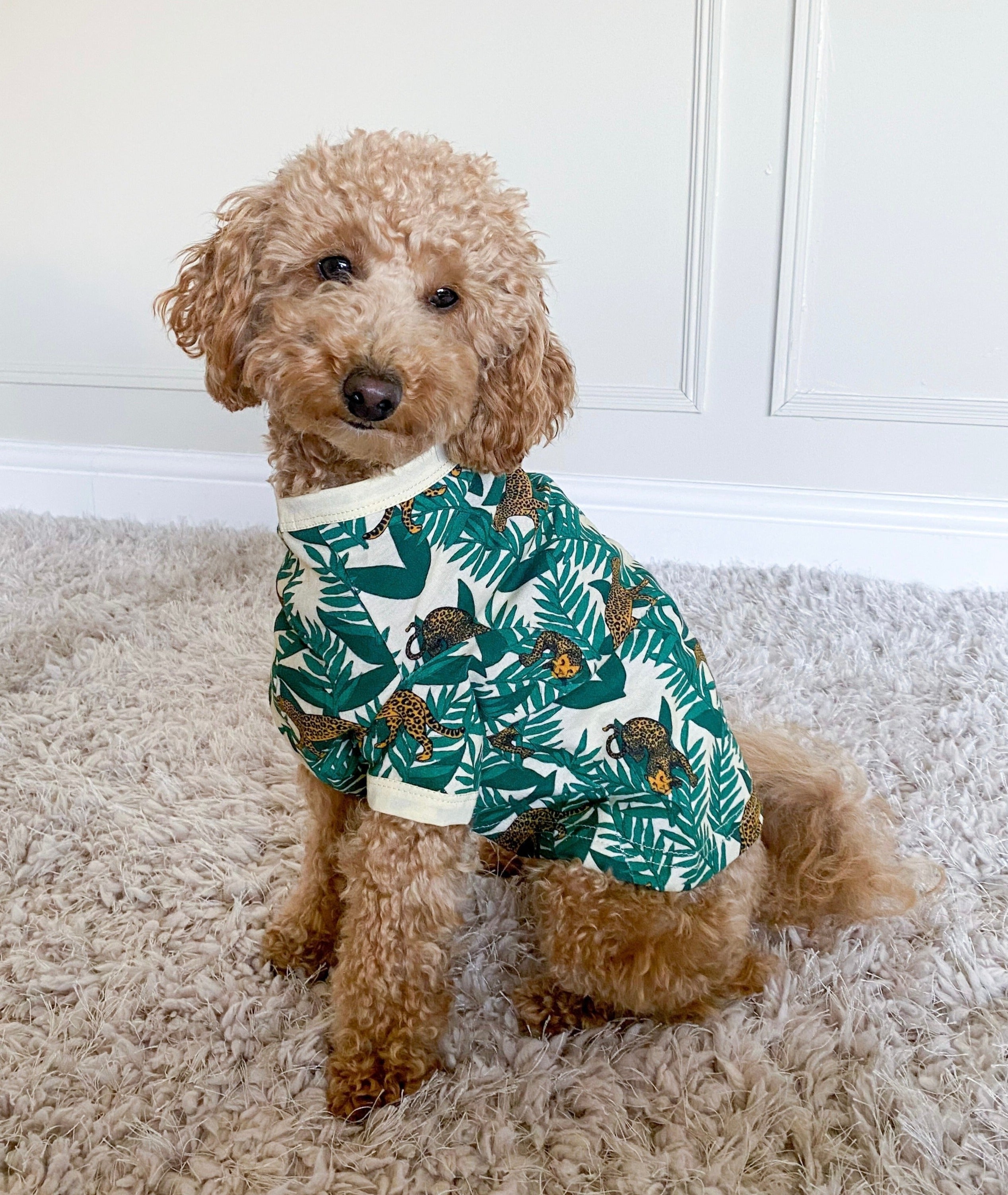 BELEAF - Pet's One Piece Matching Pyjama Set – Pyjamily